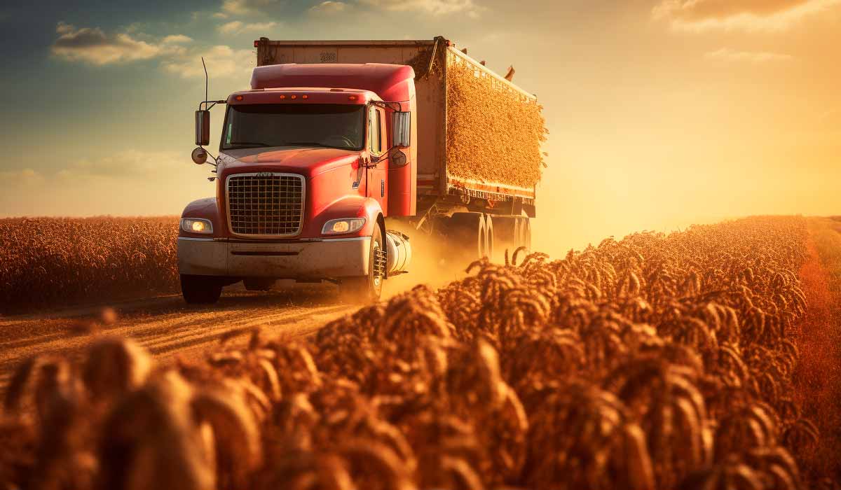 Principais transportadoras do Brasil e como rastrear pedido!